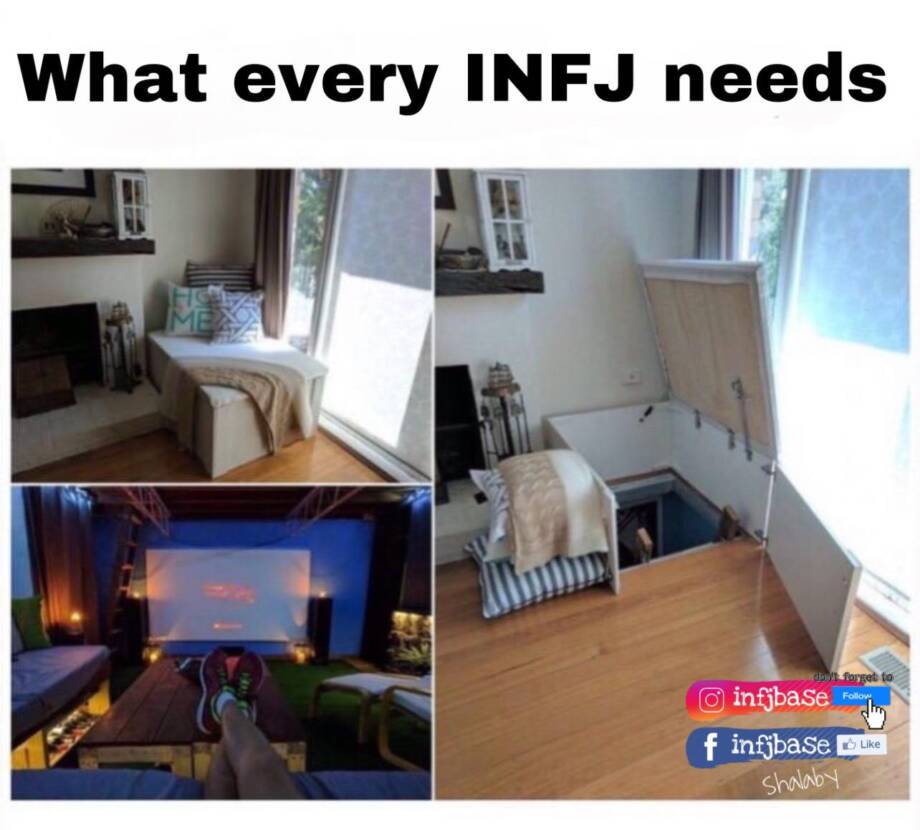 30 INFJ memes with explanations